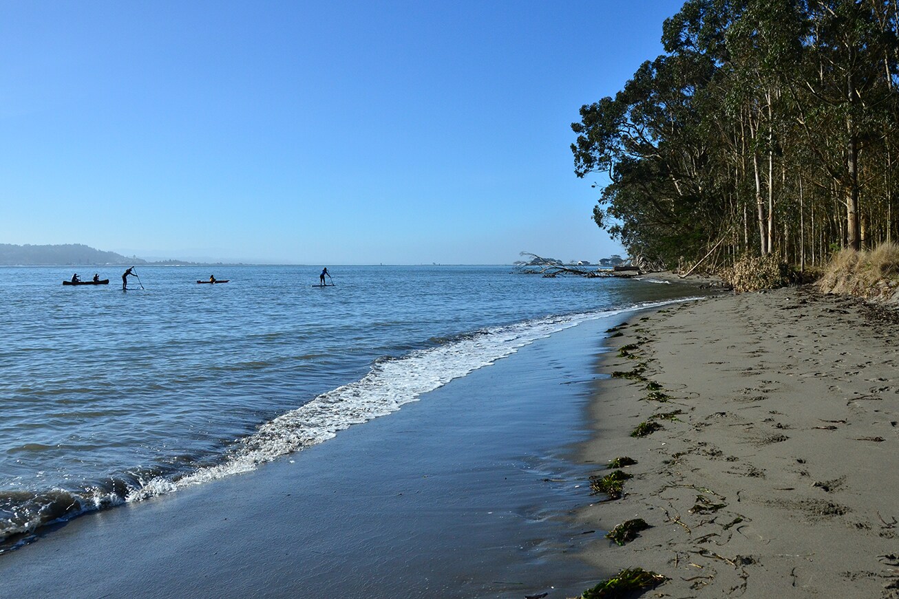 855 New Navy Base Rd, Samoa, CA 95564 | LoopNet