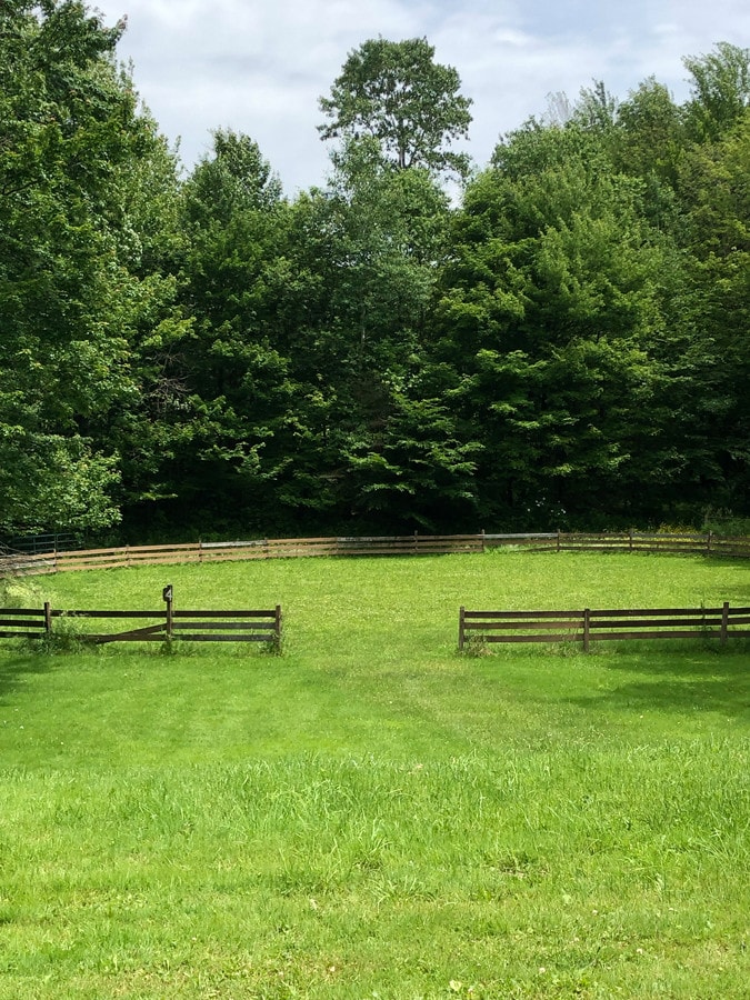 1316 Pit Rd, Java Center, NY 14082 - Specialty for Sale | LoopNet