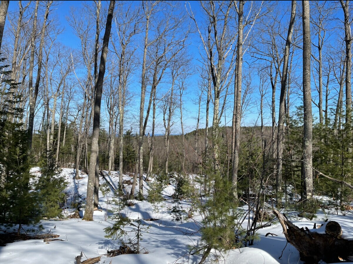 TBD M-553, Gwinn, MI 49841 | LoopNet TBD M-553, Gwinn, MI 49841 | LoopNet