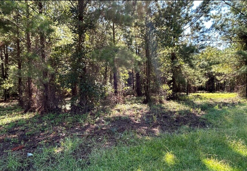 Buff Rd, Summerton, SC 29148 | LoopNet