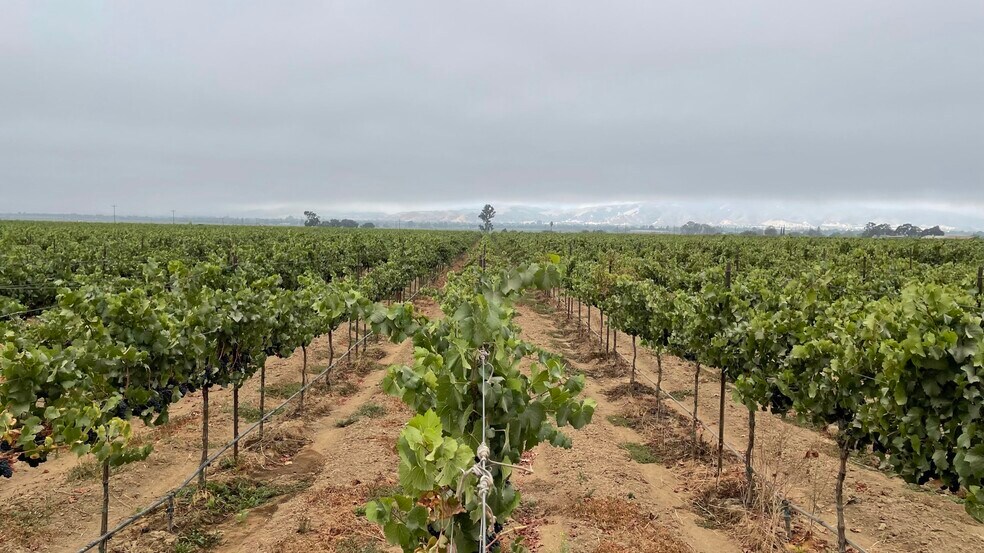 3385 Pacheco Pass Hwy, Gilroy, CA 95020 | LoopNet 3385 Pacheco Pass Hwy, Gilroy, CA 95020 | LoopNet