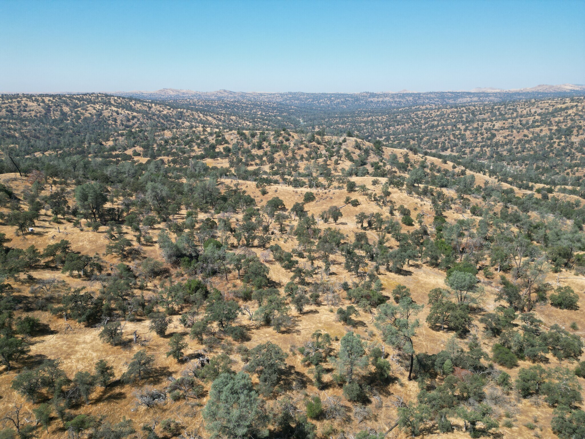 E. of Rd. 800 W. of Rd. 600, Raymond, CA 93653 - 370.83 Acs. Raymond ...