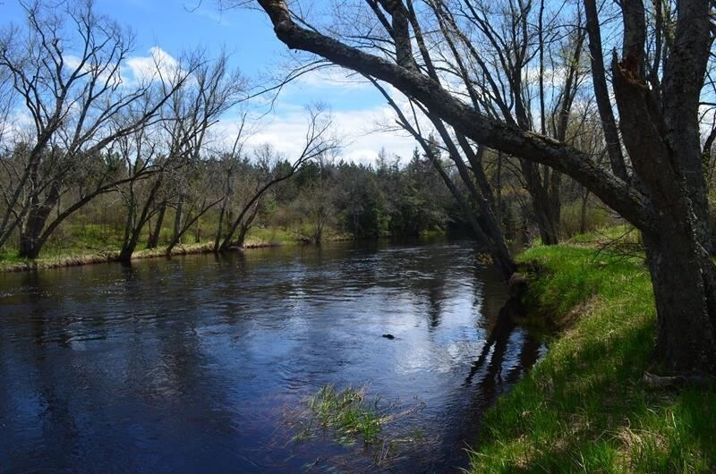 Eau Clair River Rd, Aniwa, WI 54408 | LoopNet