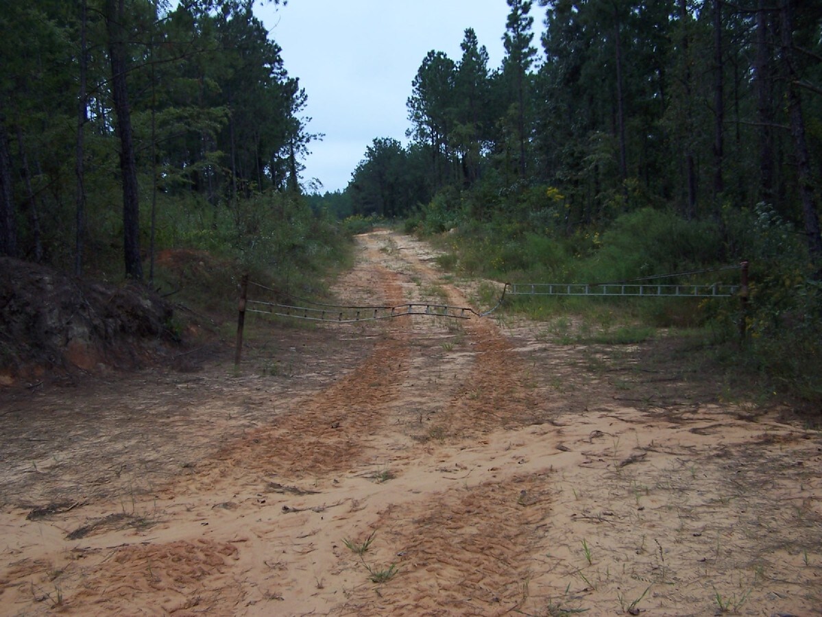 Beaver Dam Rd, Camden, MS 39045 | LoopNet