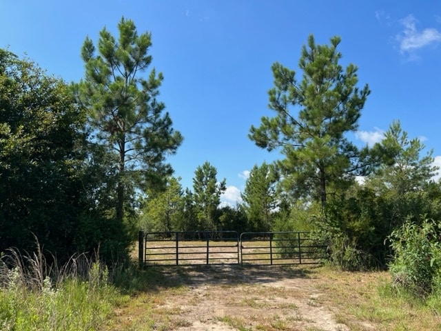 6899 Wolf Log Rd., Flomaton, AL 36441 | LoopNet