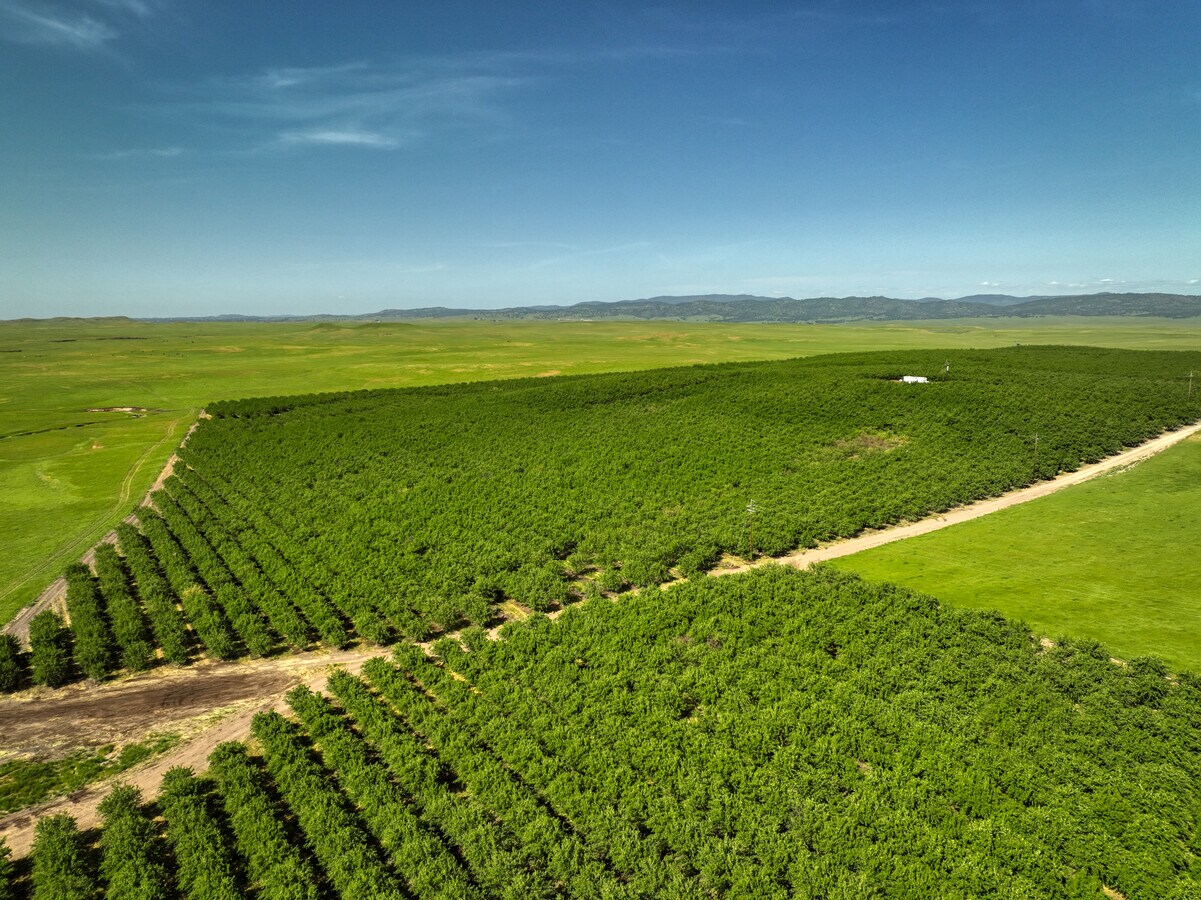 5013 Highway 4, Farmington, CA 95230 | LoopNet