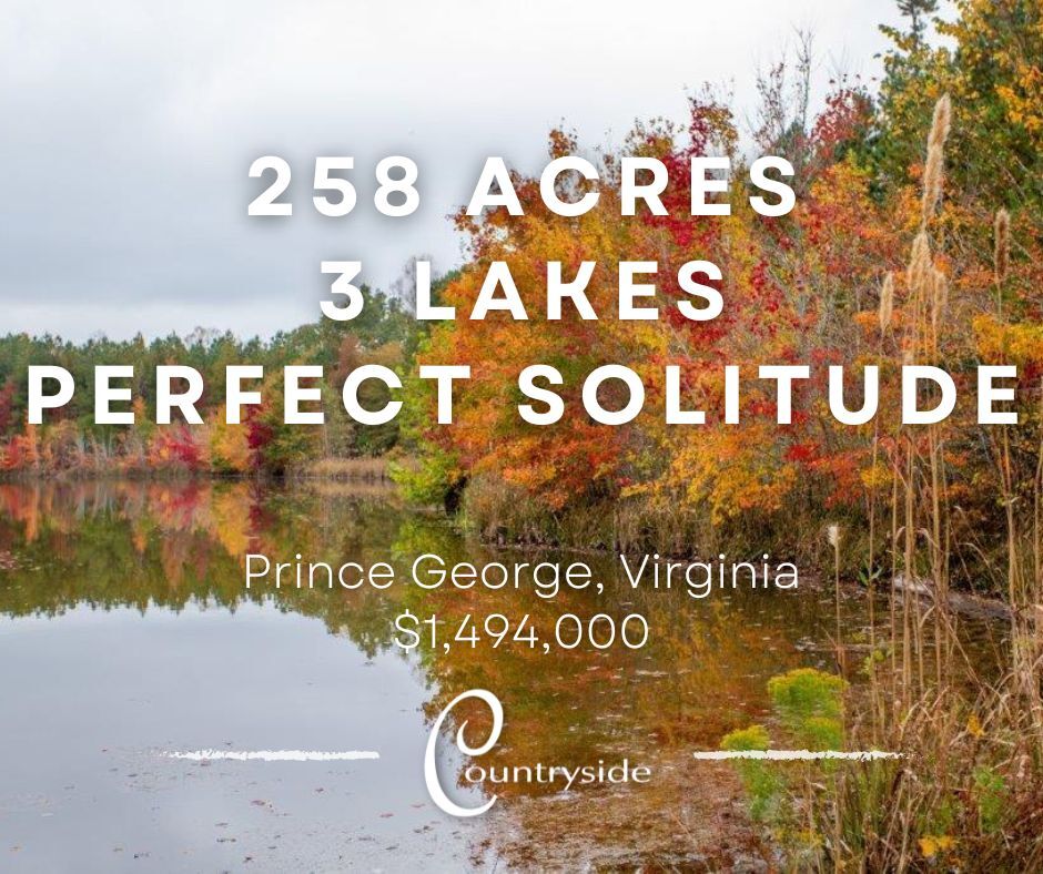 18600 Lebanon, Spring Grove, VA 23881 | LoopNet