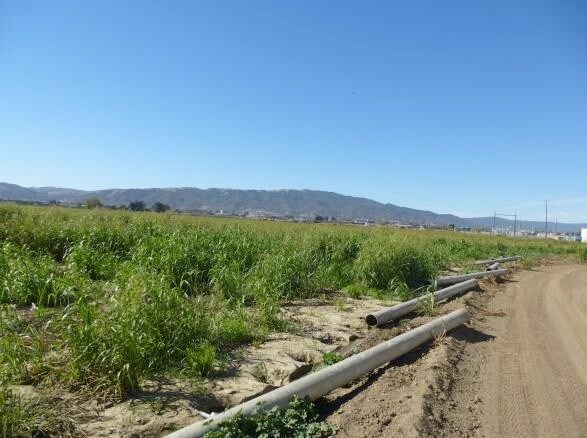 1590 Pacheco Pass Hwy, Gilroy, CA 95020 | LoopNet 1590 Pacheco Pass Hwy, Gilroy, CA 95020 | LoopNet