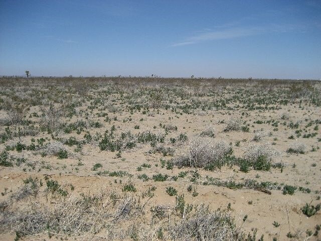 Orbit Rd & Morning Glory St, Adelanto, CA 92301 | LoopNet