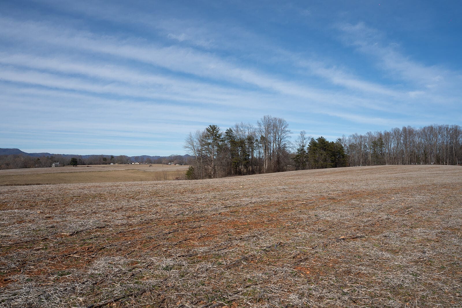 Pine Ridge Rd, Mount Airy, NC 27030 - Pine Ridge Road Farm | LoopNet