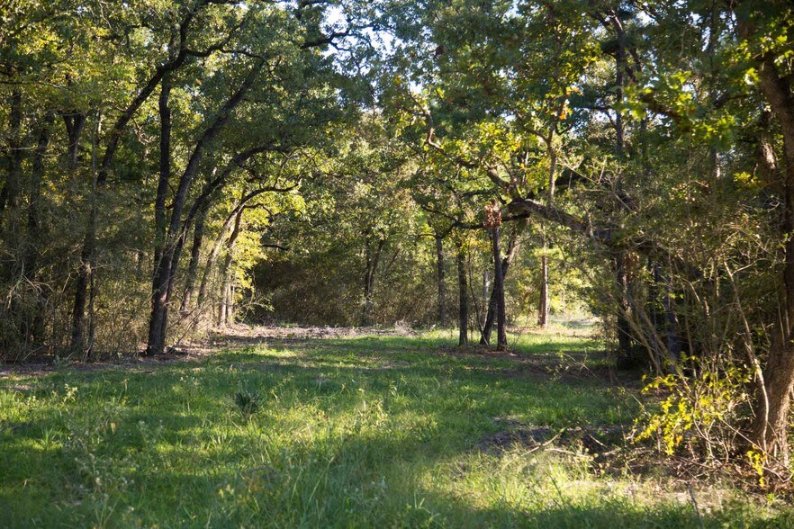 Cedar Ridge Rd, Huntsville, TX 77320 | LoopNet