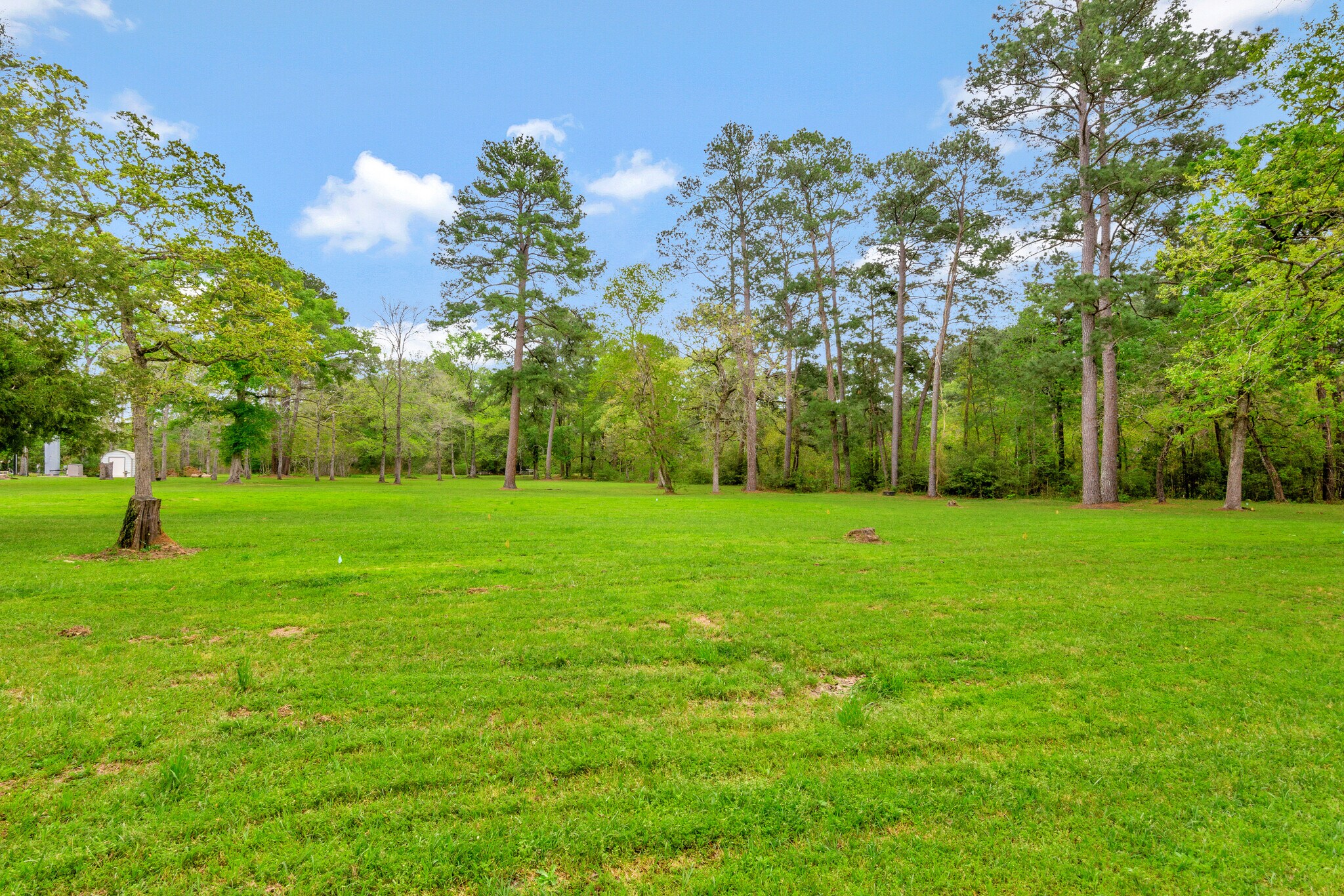 16789 Butera Rd, Magnolia, TX 77355 - Specialty for Sale | LoopNet