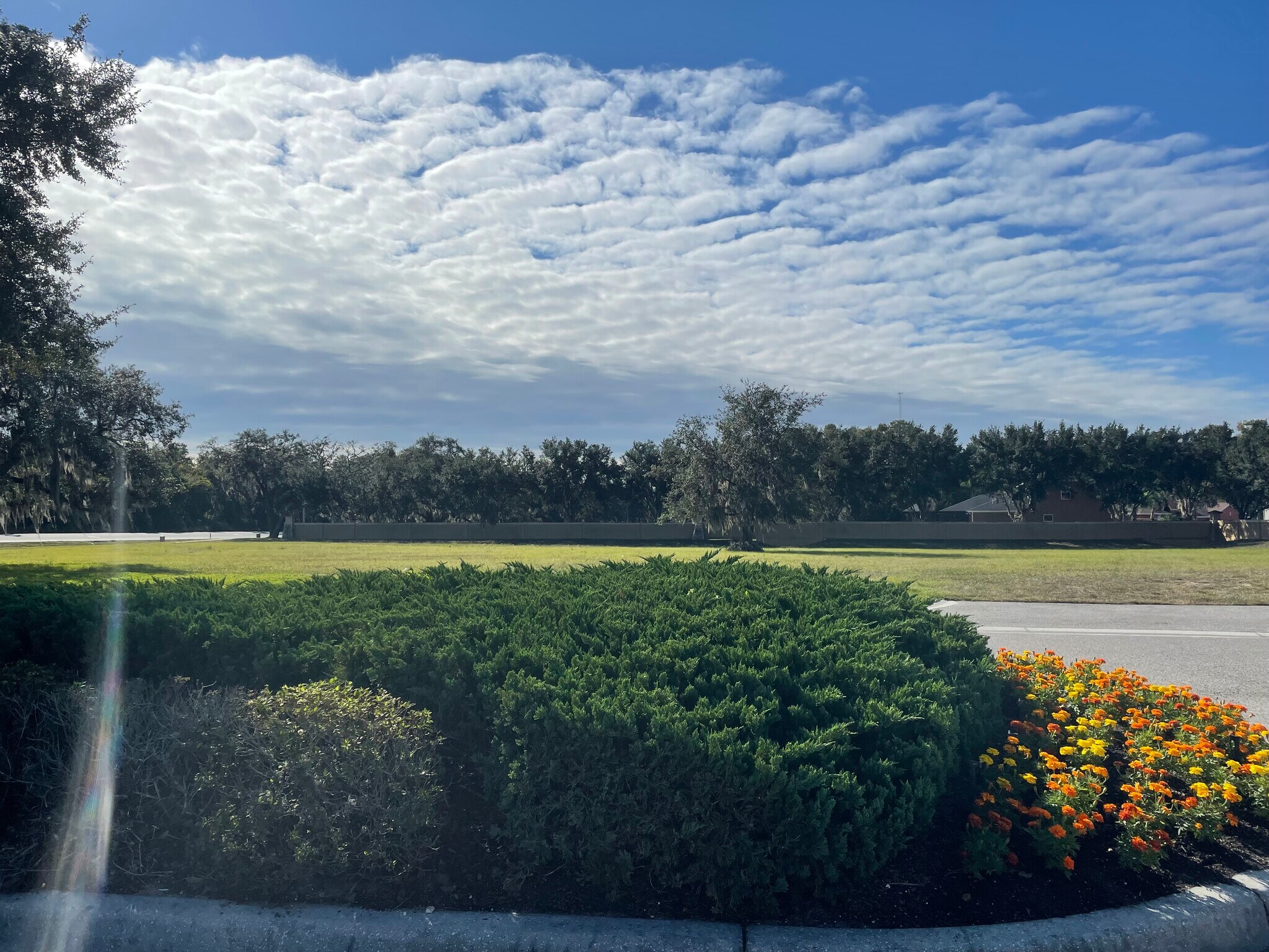 8821 Moon Lake Rd, New Port Richey, FL 34654 - Moon Lake Rd - Development Land | LoopNet