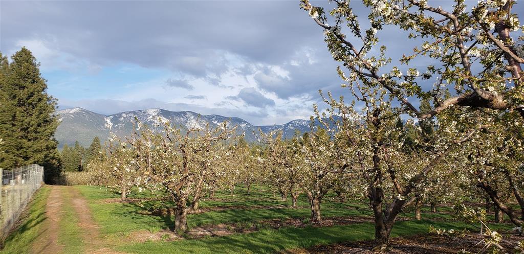 32624 S Finley Point Rd, Polson, MT 59860 - Specialty for Sale | LoopNet