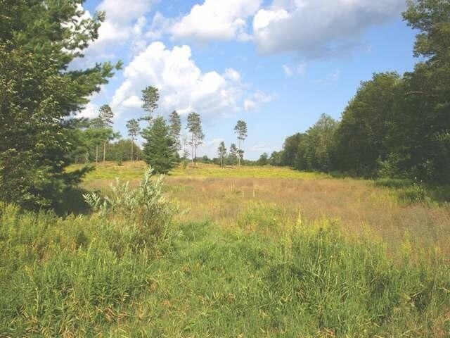 Clare Ave, Harrison, MI 48625 | LoopNet