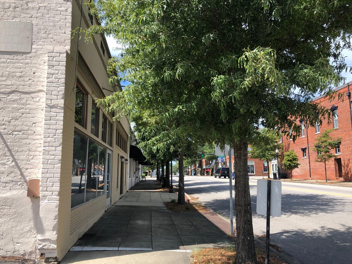 10 E Boyce St, Manning, SC 29102 | LoopNet