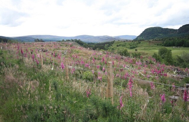 Farr, Inverness, IV2 6XB | LoopNet