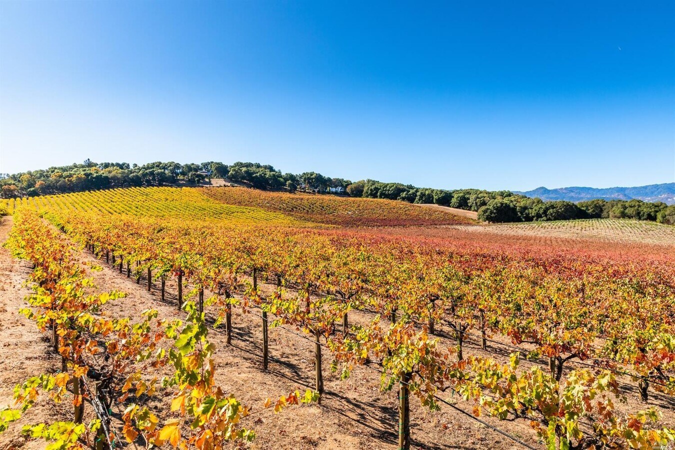 2385 Twining Rd, Talmage, CA 95481 | LoopNet