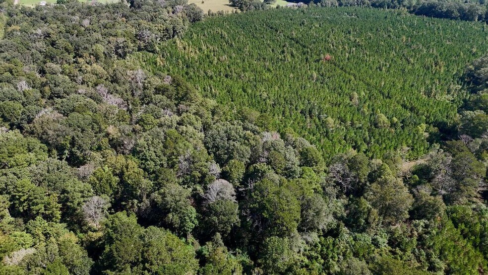 LOT 1 COUNTY LINE Rd, Summit, MS 39666 | LoopNet