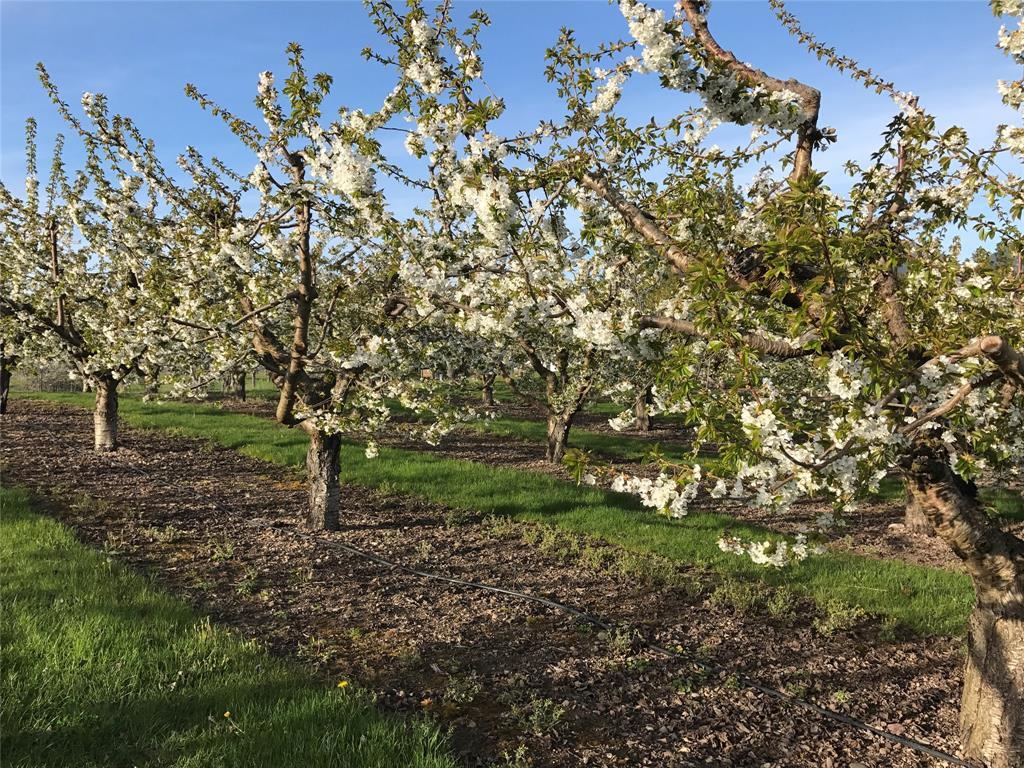 32624 S Finley Point Rd, Polson, MT 59860 - Specialty for Sale | LoopNet