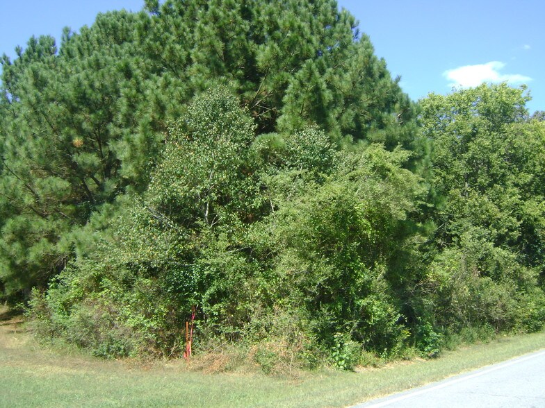 0 Morgan Valley Rd, Rockmart, GA 30153 | LoopNet 0 Morgan Valley Rd, Rockmart, GA 30153 | LoopNet