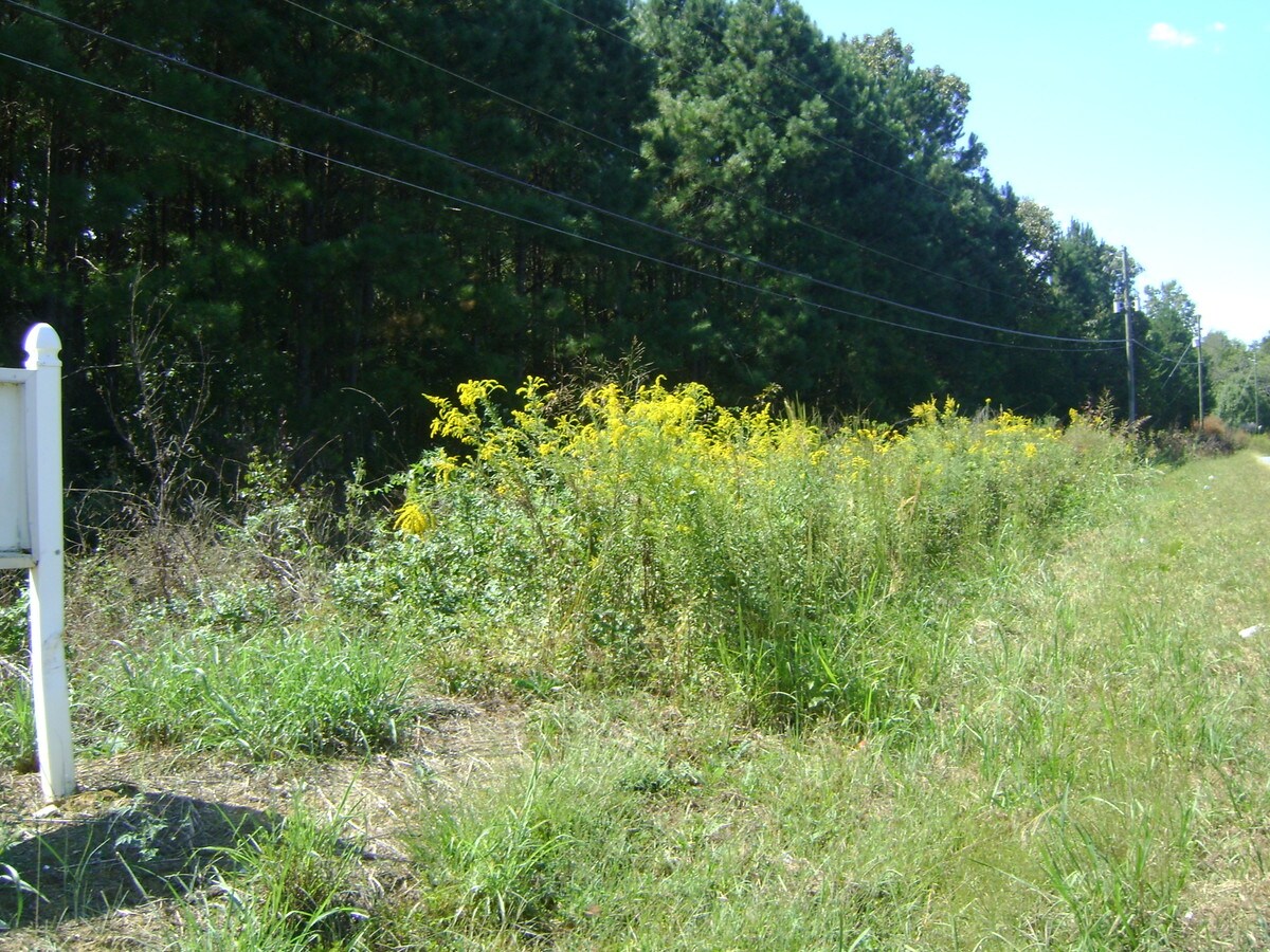 0 Morgan Valley Rd, Rockmart, GA 30153 | LoopNet 0 Morgan Valley Rd, Rockmart, GA 30153 | LoopNet