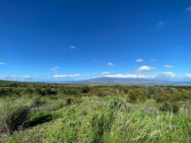 Lower Kula Road, Kula, HI 96790 | LoopNet