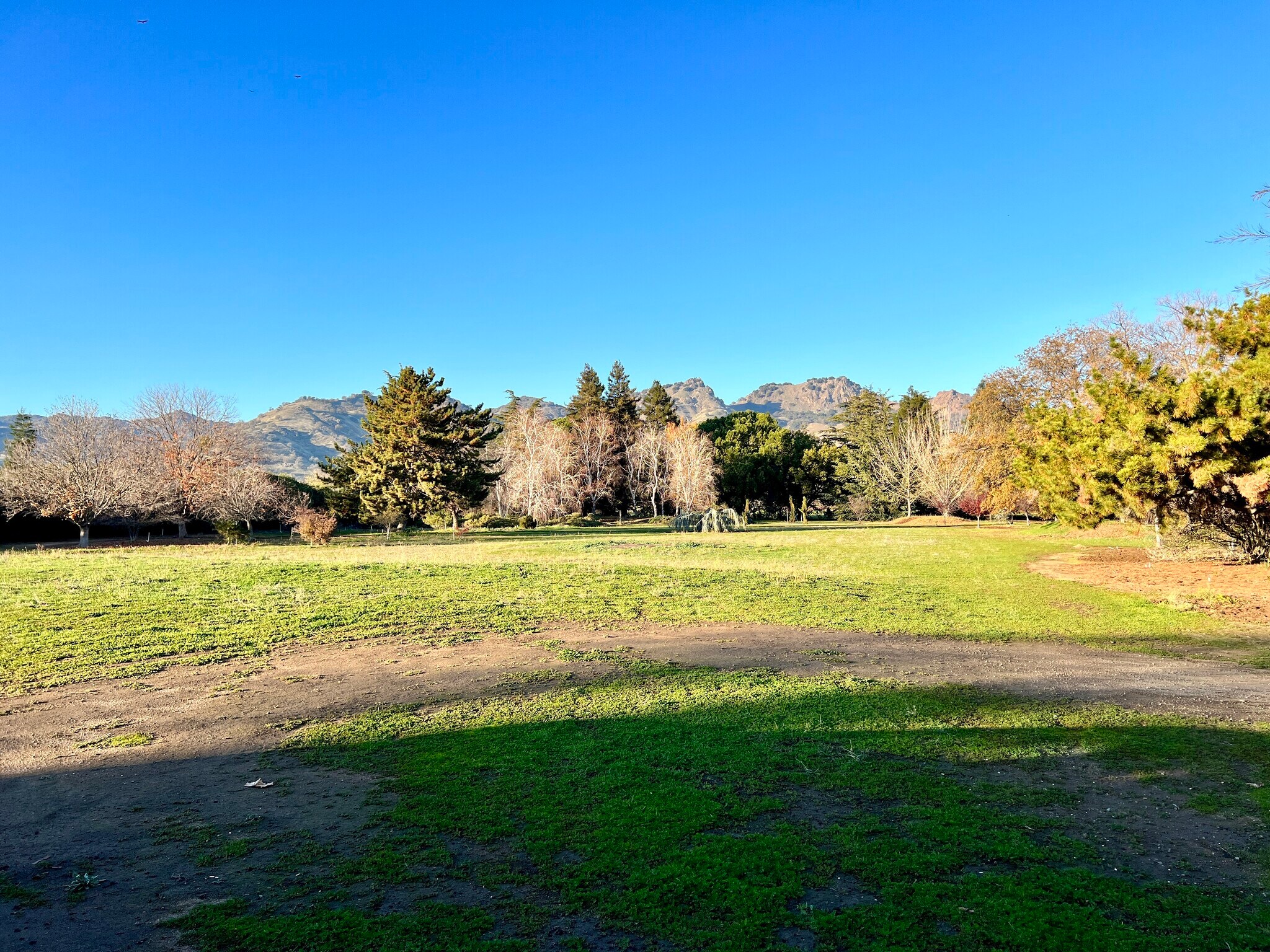 9121 Pass Rd Rd, Sutter, CA 95982 - Pistachio Orchard & Gorgeous Home ...