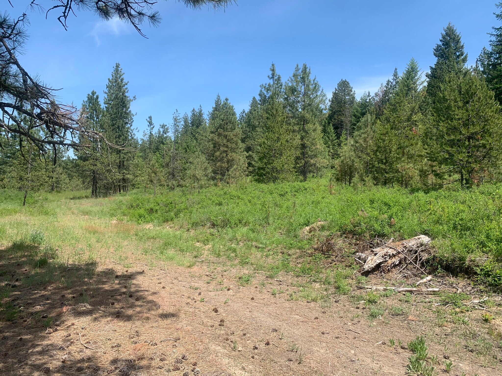 4110 Cemetery Rd, Springdale, WA 99173 - Country Lifestyle | LoopNet