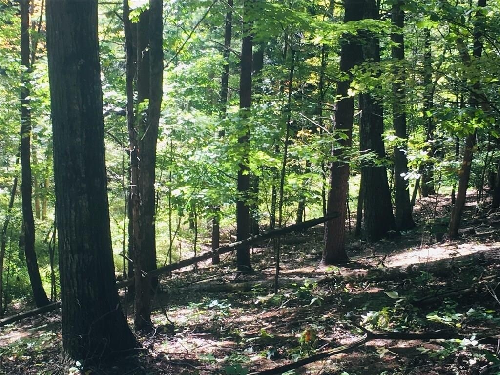 4355 W Sherman Hollow Rd, Branchport, NY 14418 | LoopNet