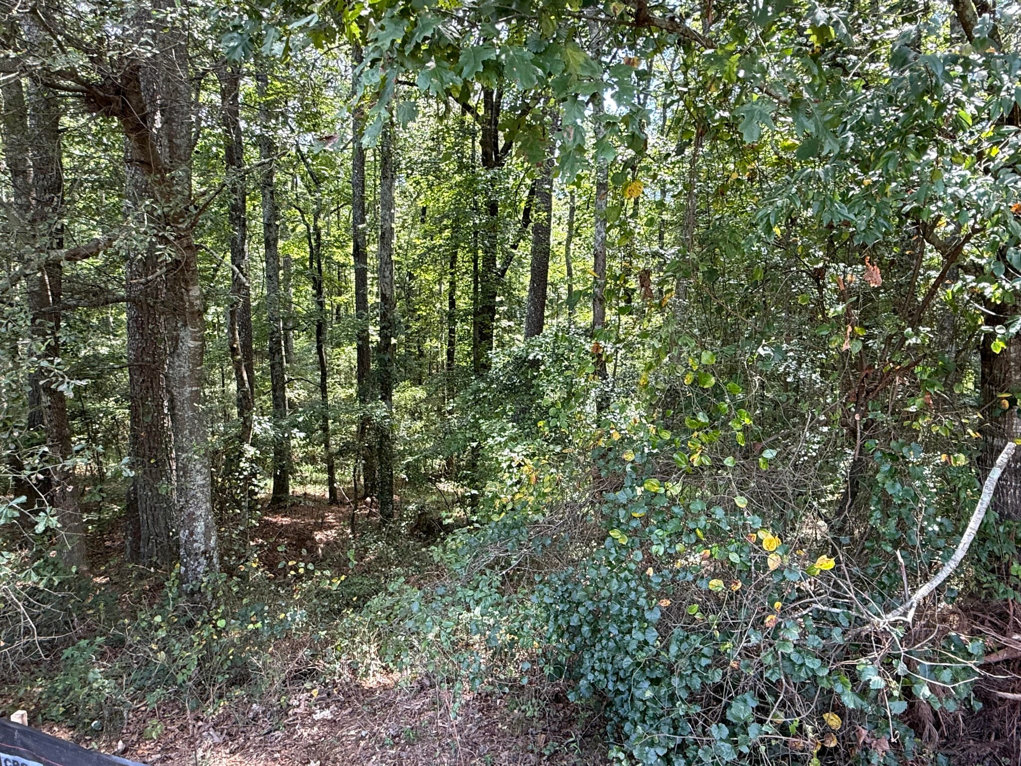 1311 Evans Cook Rd, Canton, GA 30115 - 8.3 GC Acres Evans Cook Rd | LoopNet