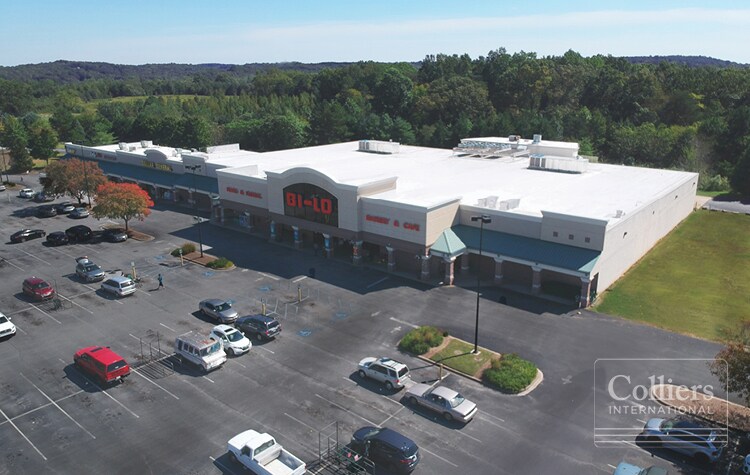 1750 E Highway 14, Landrum, SC 29356 - Bi-Lo Shopping Center | LoopNet