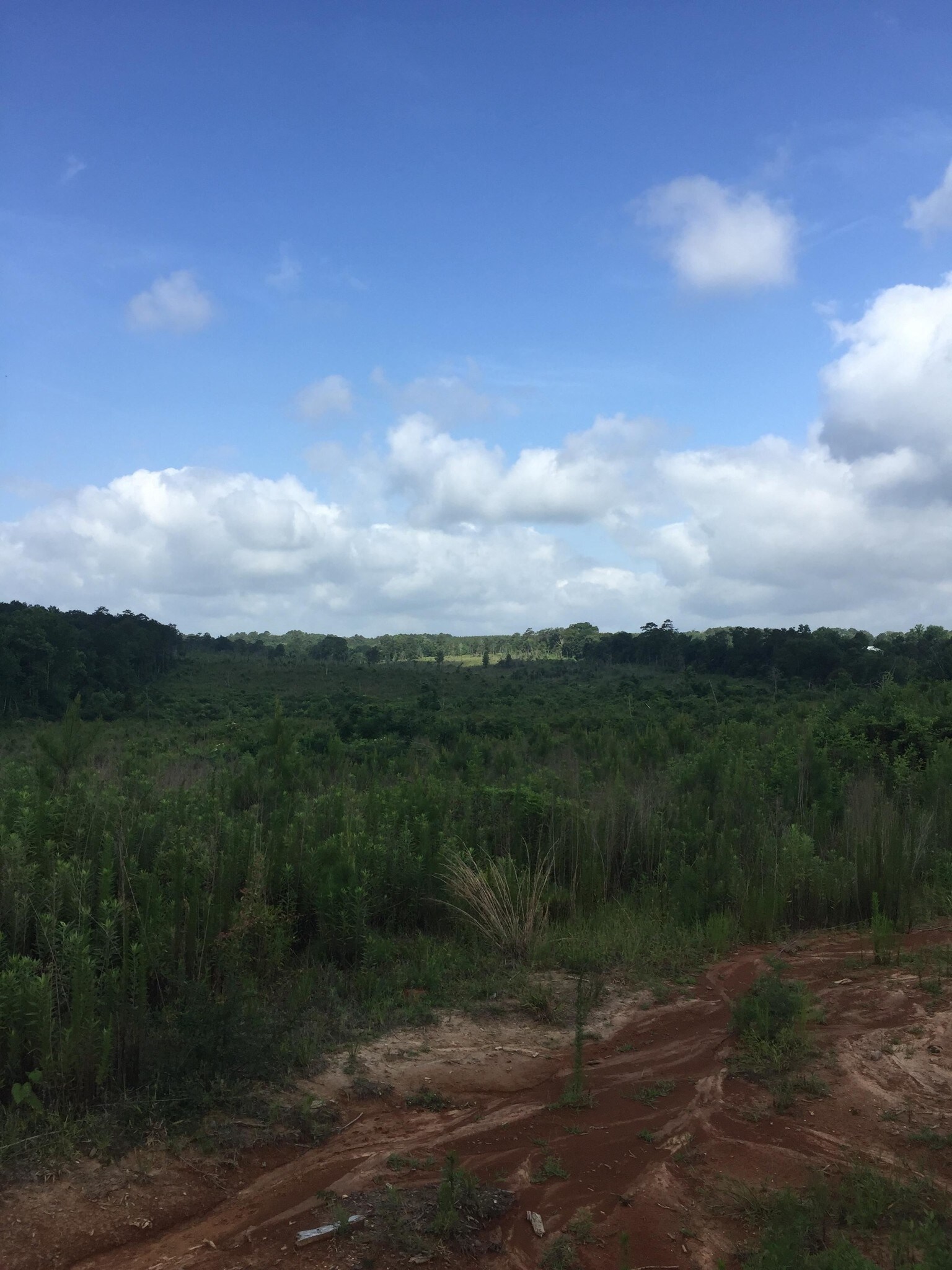 Shivers Rd, Pinola, MS 39149 | LoopNet