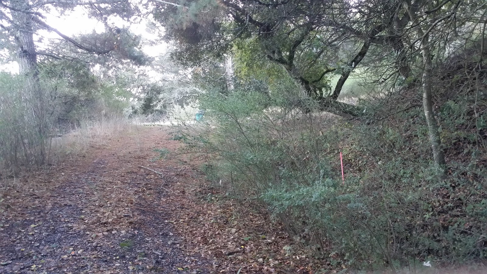 1001 Fish Ranch Rd, Orinda, CA 94563 | LoopNet